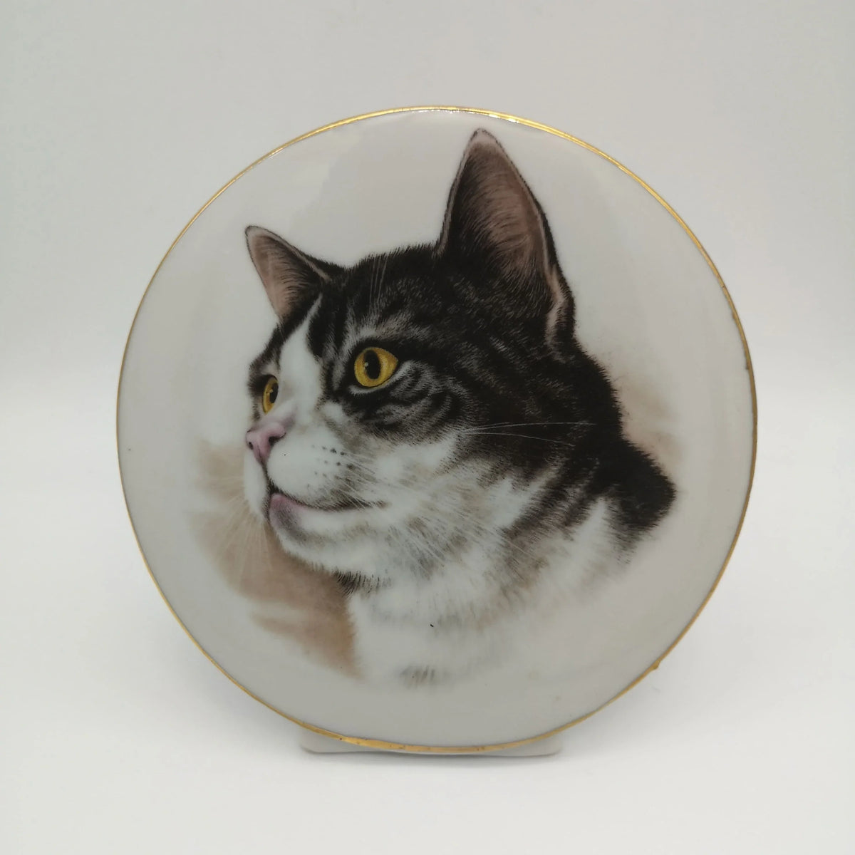 Porcelain display with cat portrait | Sir Mittens